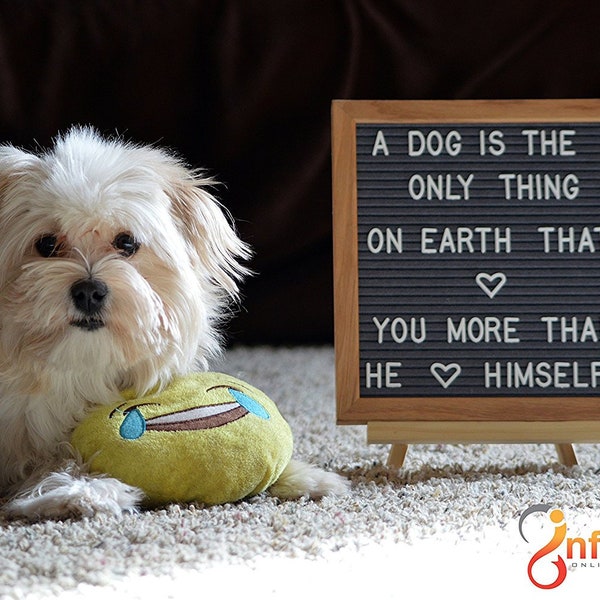 Felt Letter Board - Etsy