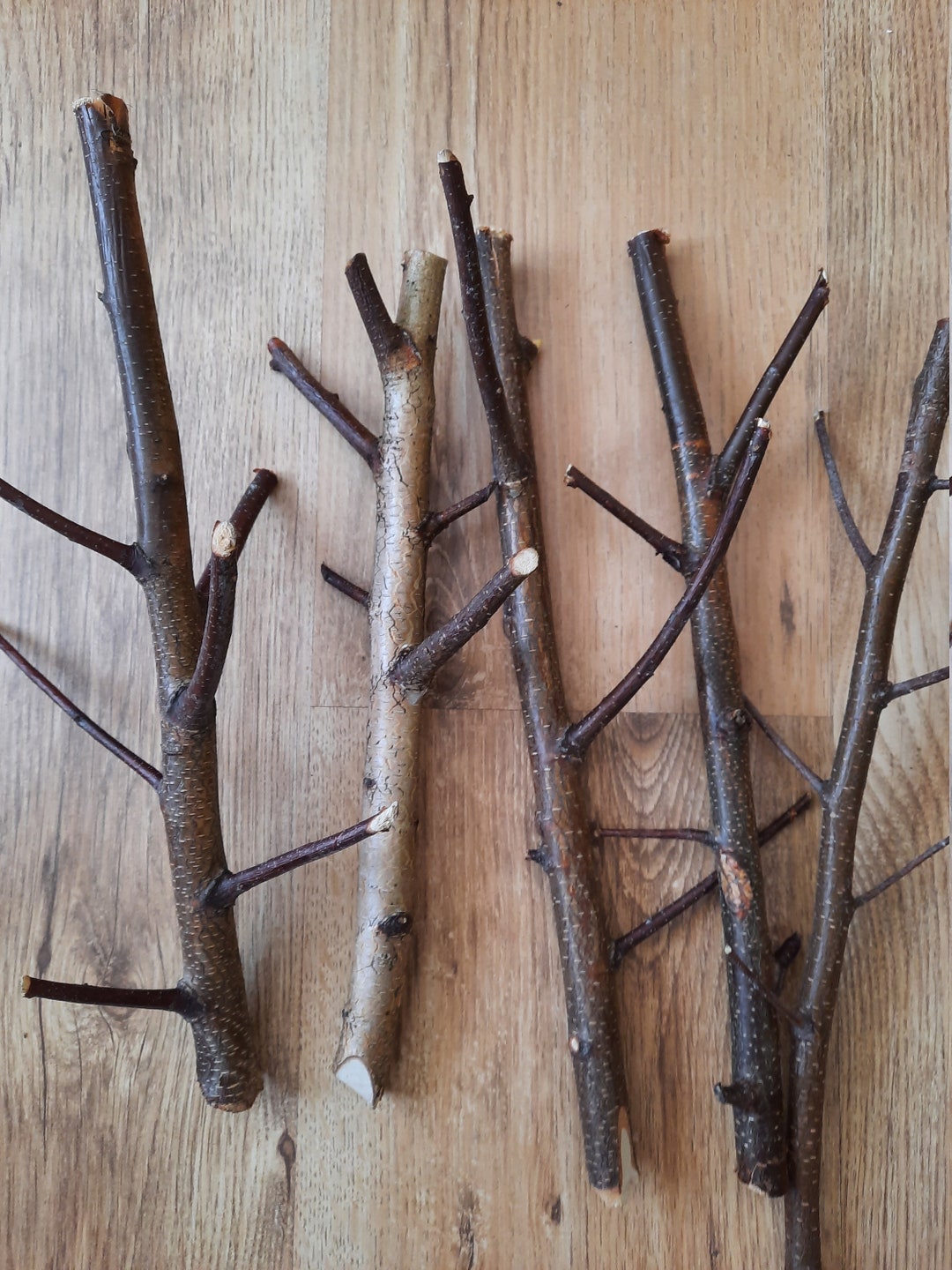 Birch Branches: Natural Decorative Twigs, Craft Supplies (5 Pcs) - Etsy
