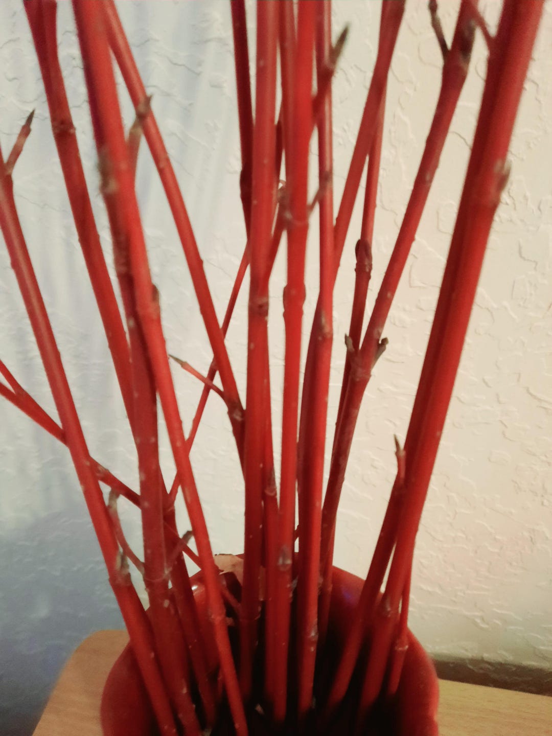 Native Red Dogwood Branches Red Willows Branches Table Centerpiece ...