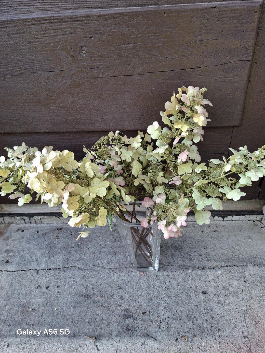 7 Vintage Dried Hydrangea Stems, Pink & Green, 12" Long Stems - Etsy