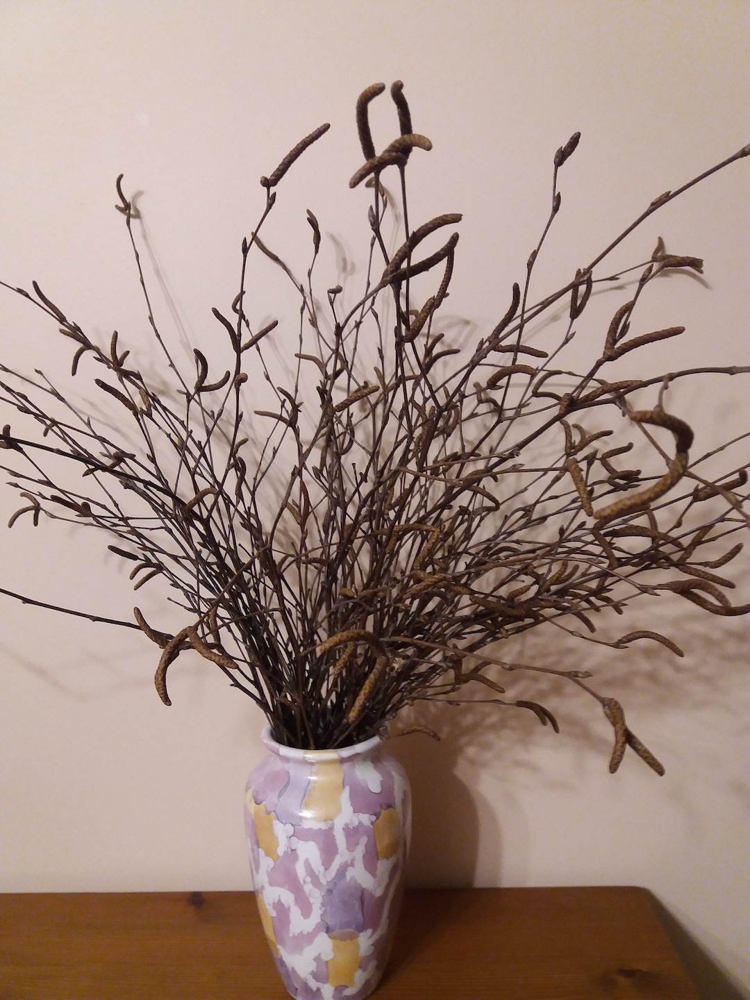 Large Birch Twigs White Birch Branches Decors Craft Supplies 20" Long ...