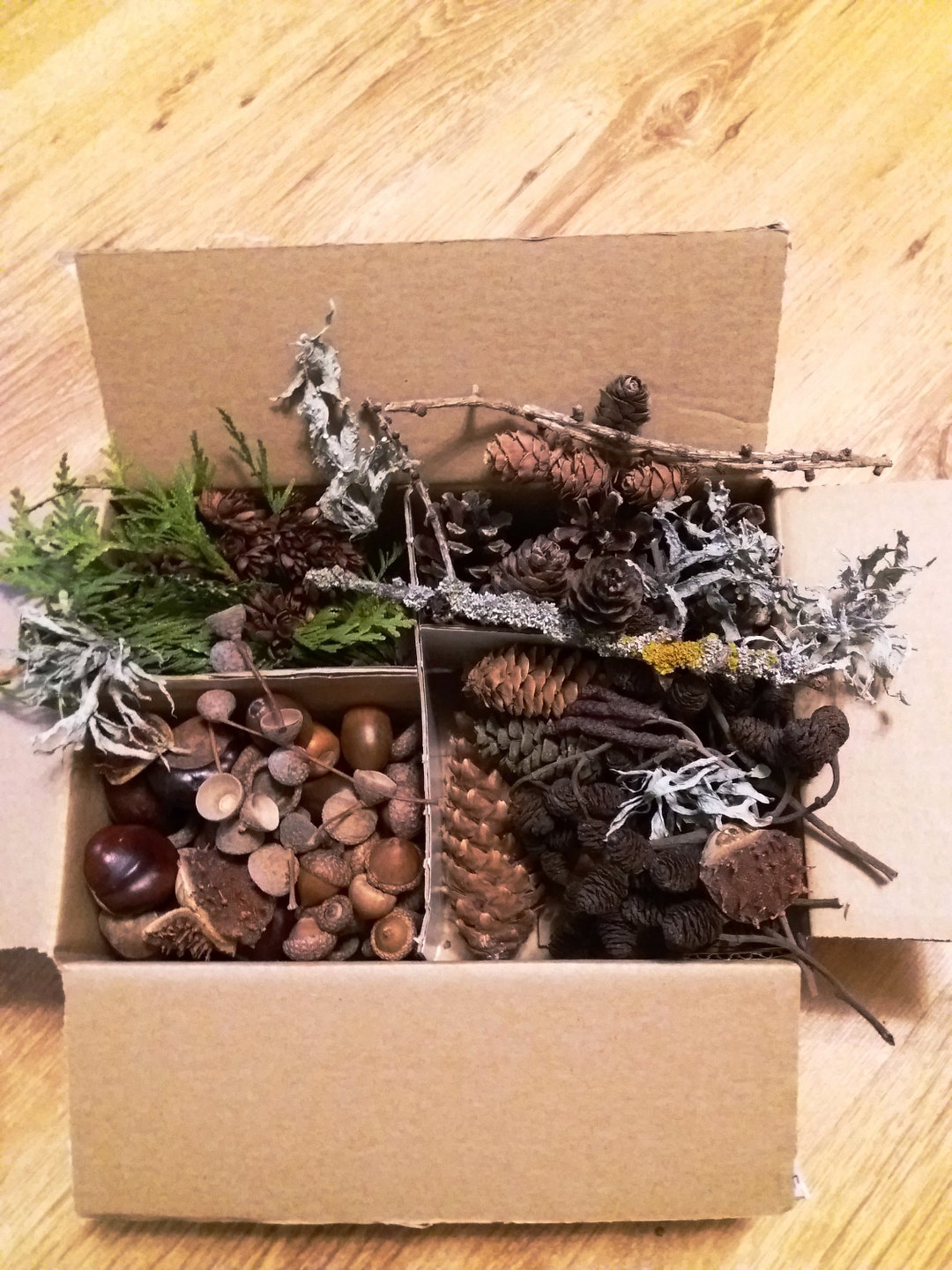 Woodland Decor Box: Natural Forest Finds, Pine Cones, Moss - Etsy