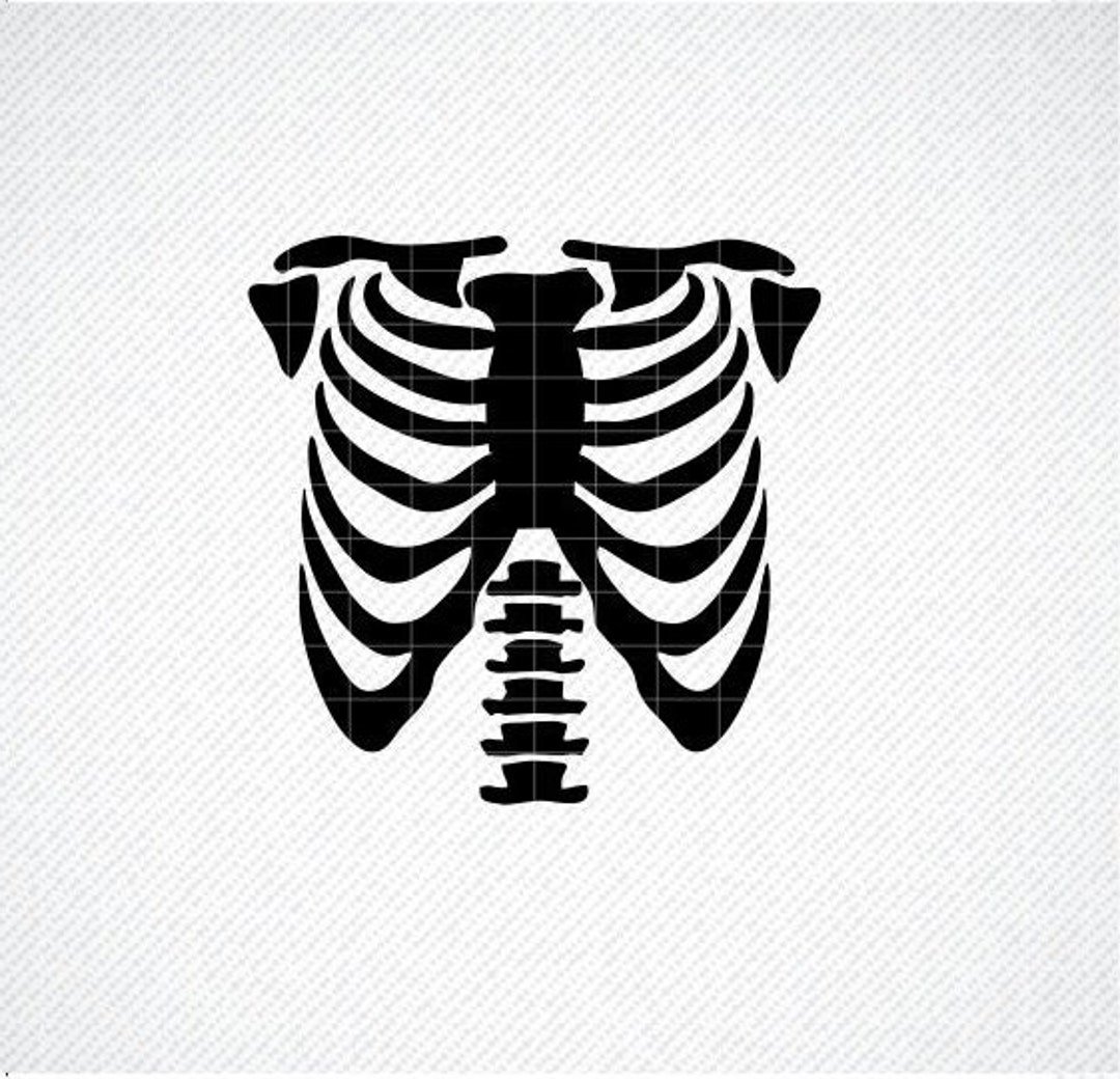 Skeleton SVG, Halloween Skeleton Svg, Halloween Svg, Skeleton Torso Svg ...