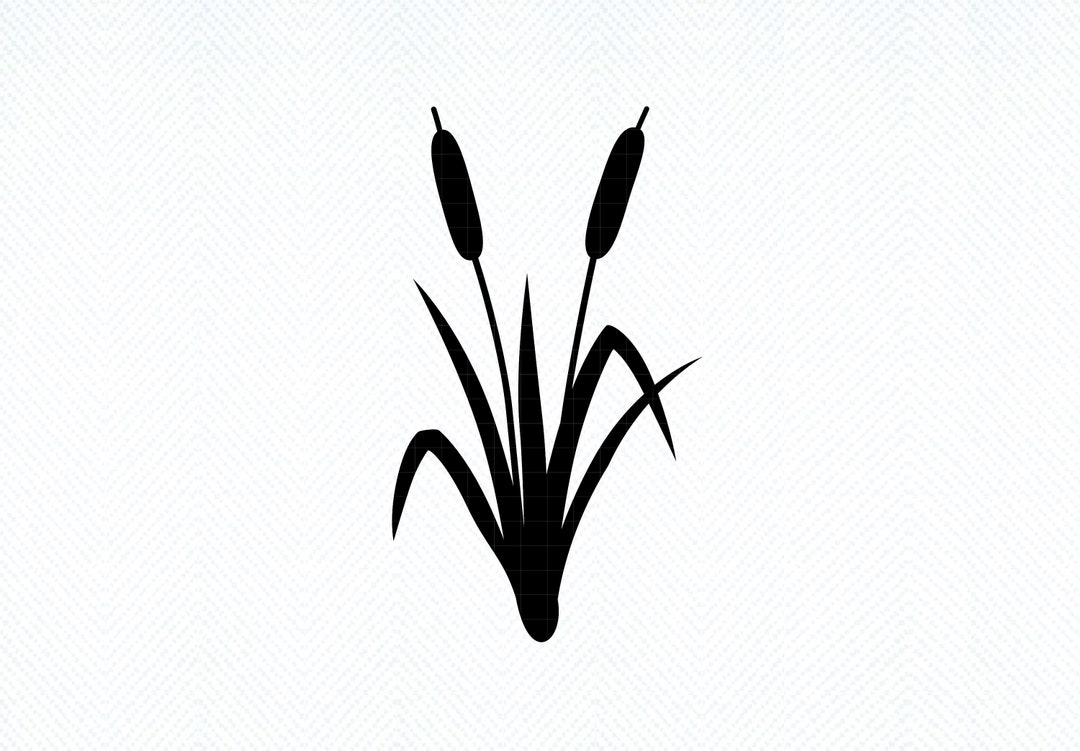 Cattail Svg, Cattail Flower Svg,cattail Vector,cattail Silhouette,grass ...