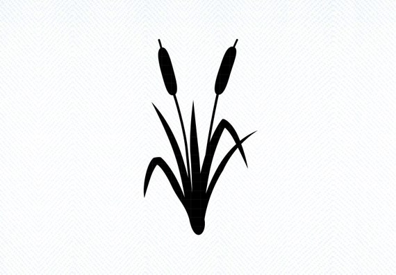 Tife Clipart In Bianco E Nero