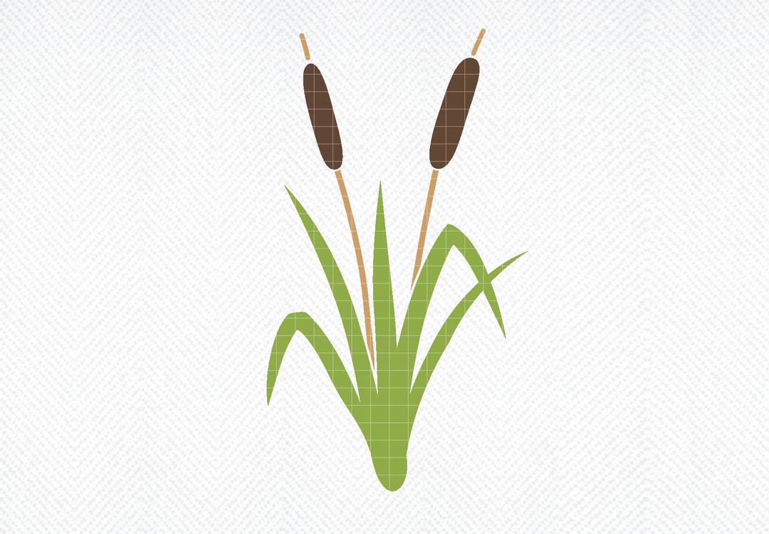 Cattail Svg, Cattail Flower Svg,cattail Vector,cattail Silhouette,grass ...