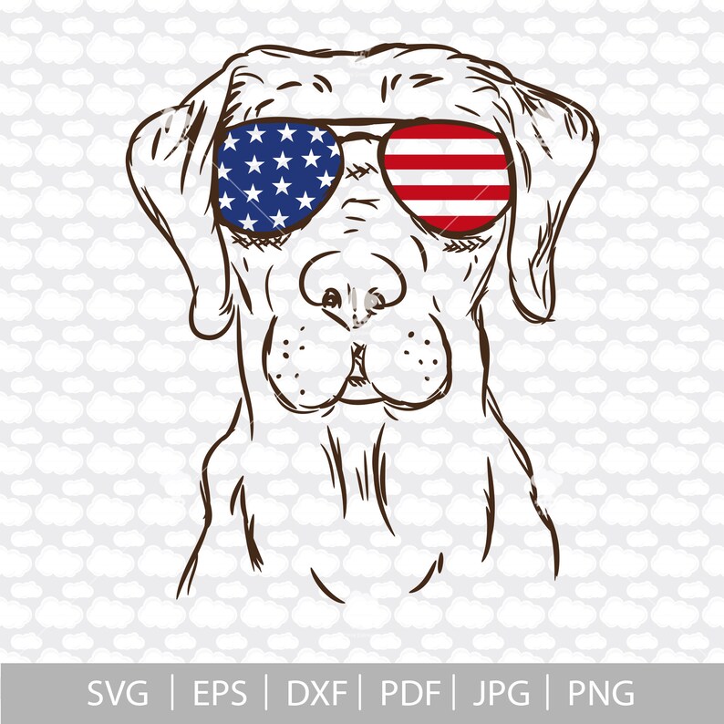 Labrador Svg DXF SVG Digital Download Dog Svg Sunglasses - Etsy