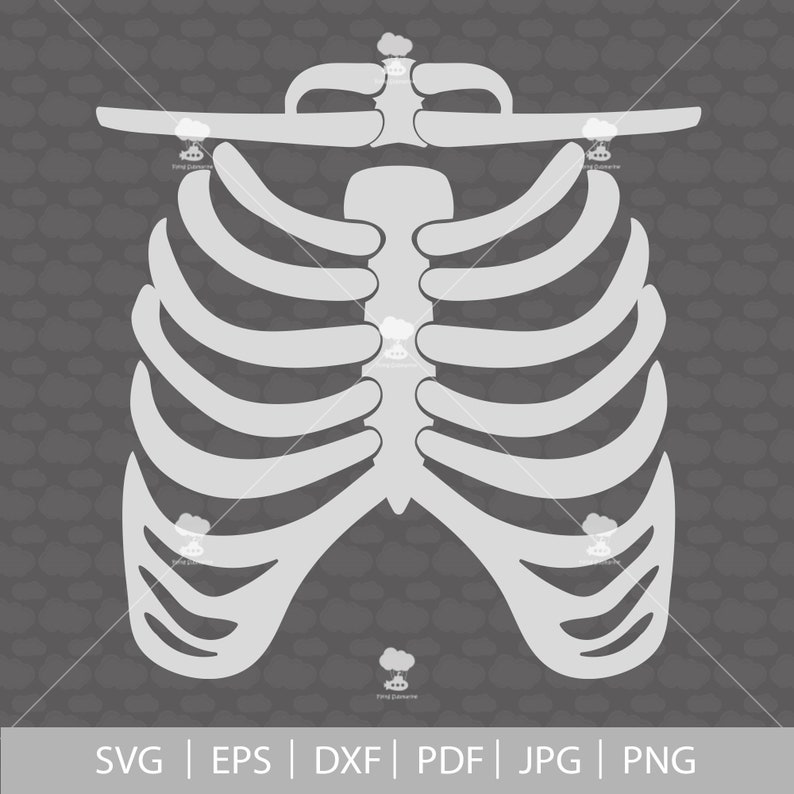 Skeleton Chest Svg SVG DXF PDF Skeleton Svg Halloween - Etsy