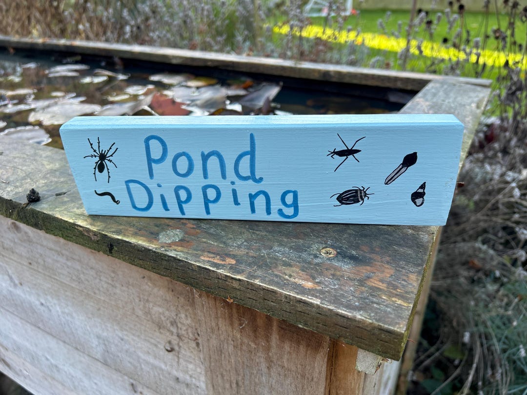 Painted Wildlife Pond Sign. Pond Dipping Sign. Sign for School Pond ...