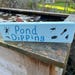 Painted Wildlife Pond Sign. Pond Dipping Sign. Sign for School Pond ...