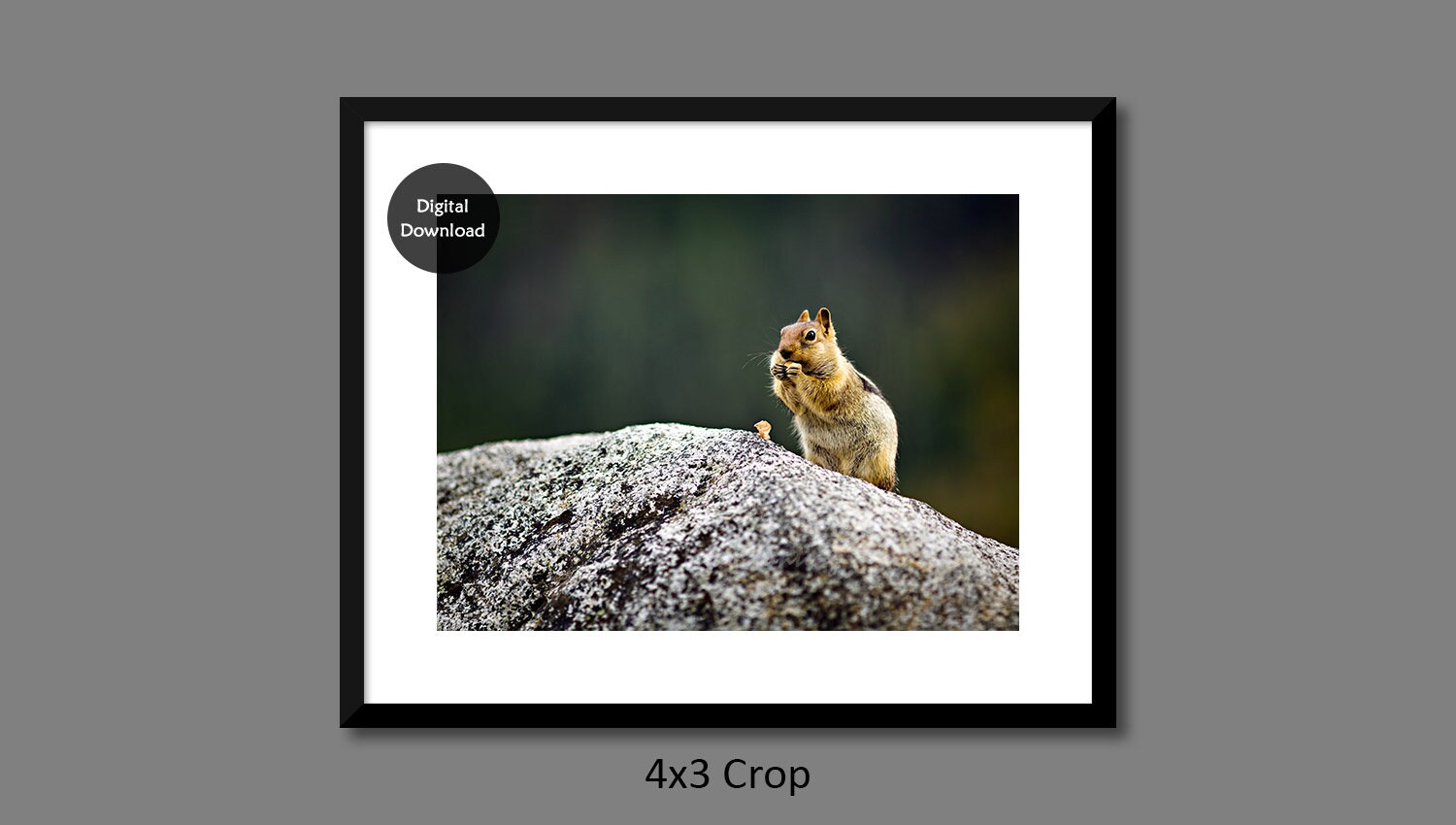 Printable Wall Art, Cute Chipmunk Print, Nature Print, Chipmunk Poster ...