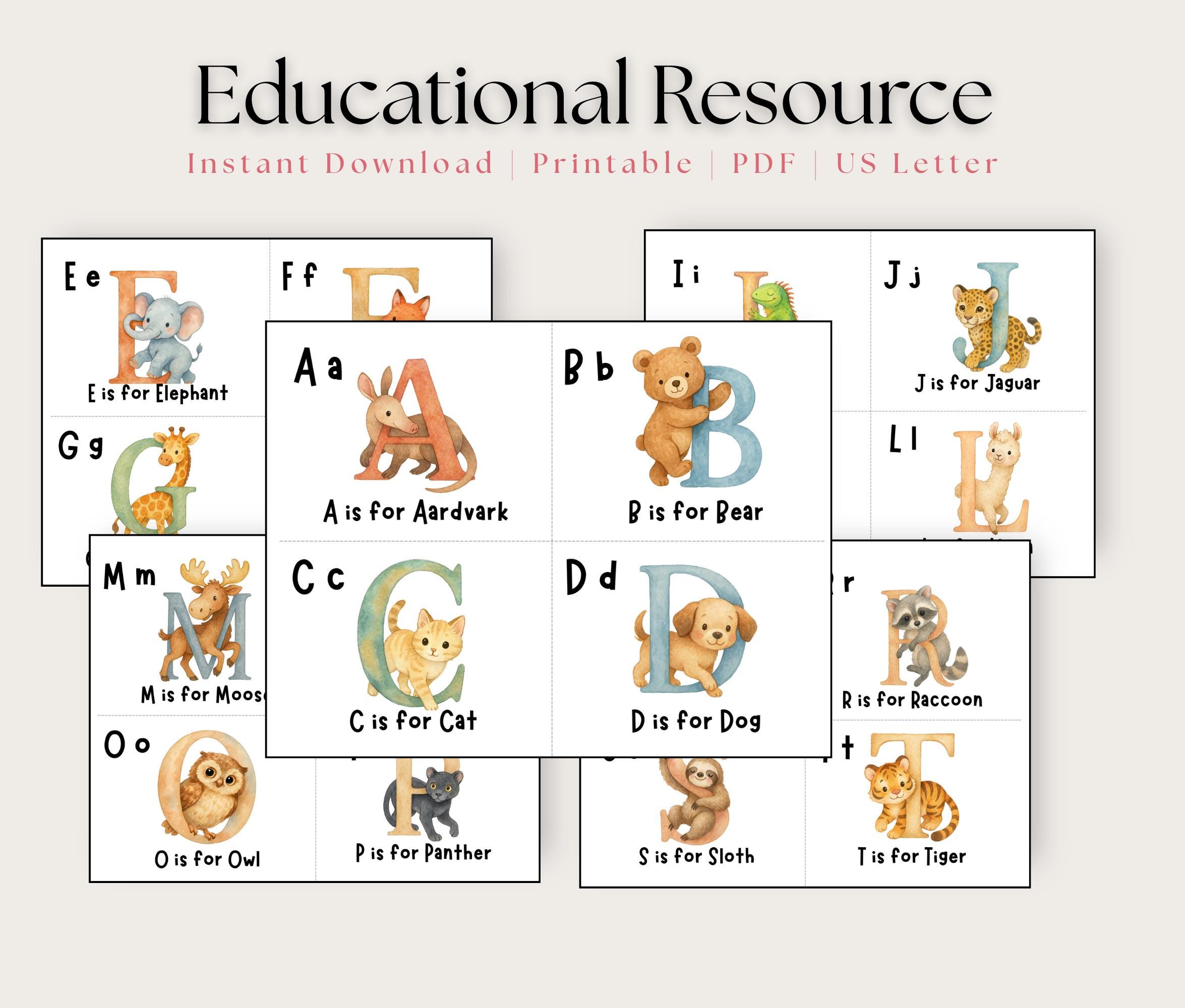 Alphabet Flash Cards, Homeschool Lesson Printable (digital Download) - Etsy