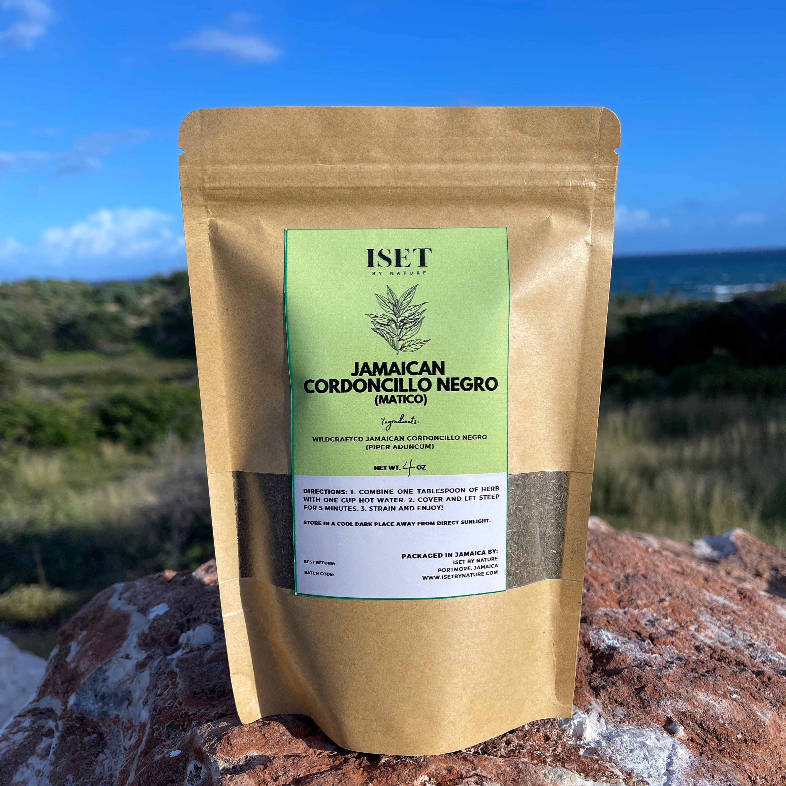 Cordoncillo Negro Herb Matico Piper aduncum | Etsy