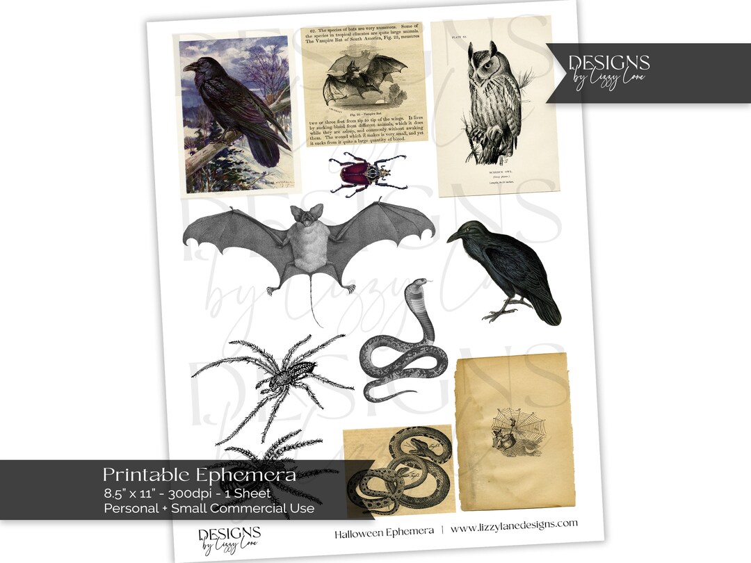 Vintage Halloween Curated Set of Creatures | Digital Download | Junk ...