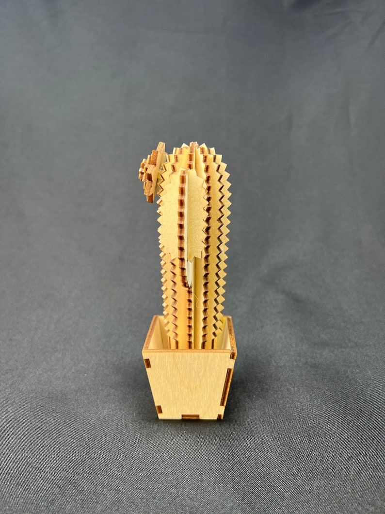 Laser Cut Wooden Cactus DIY Kit | Ruth - Etsy
