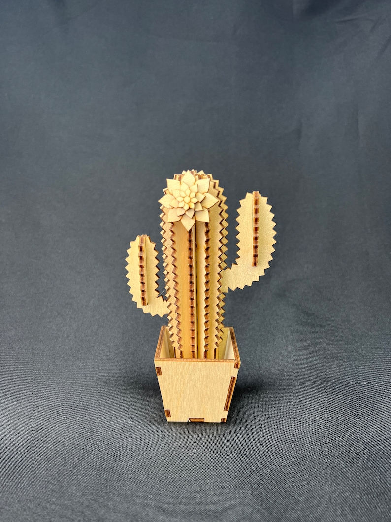 Laser Cut Wooden Cactus DIY Kit | Ruth - Etsy