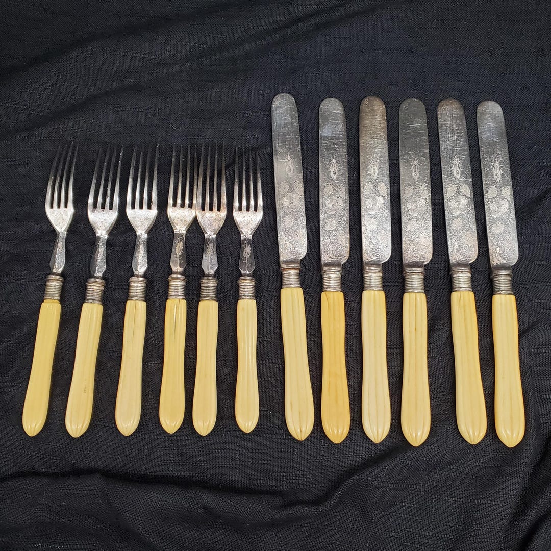 Antique Etched Silverware Set With Celluloid Handles, 12pc Set - Etsy