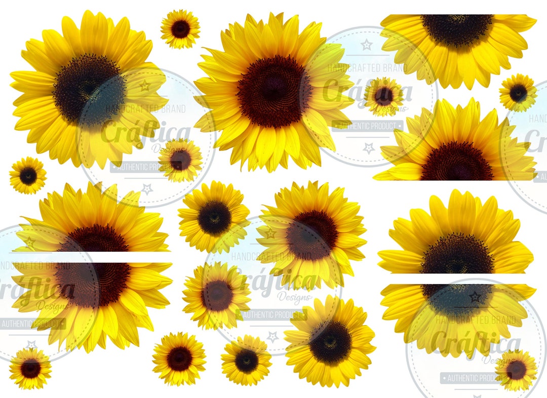 Sunflower Clear or White Waterslide Tumbler Decal, Ready to Use ...