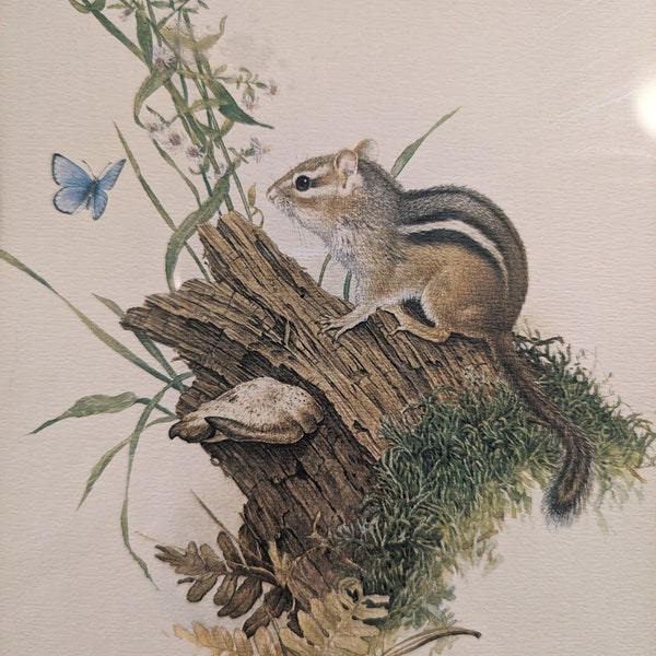 Vintage Chipmunk - Etsy