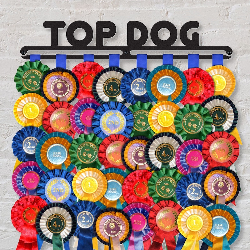 Dog Show Ribbons - Etsy
