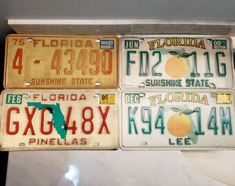 Sunshine State License Plate - Etsy