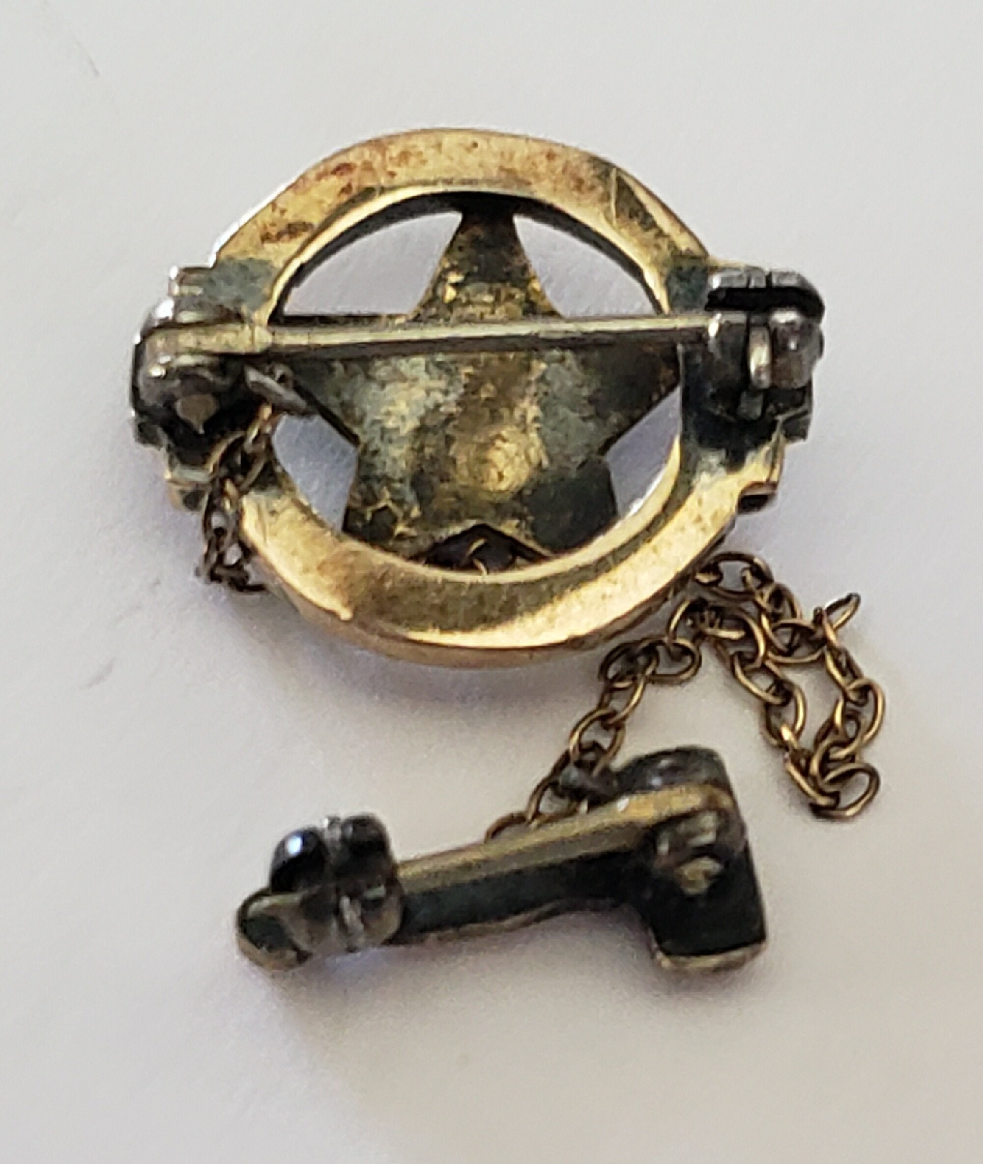 Vintage Order of the Eastern Star Grand Matron Lapel Pin With Diamonds ...