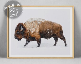 Bison wall art | Etsy