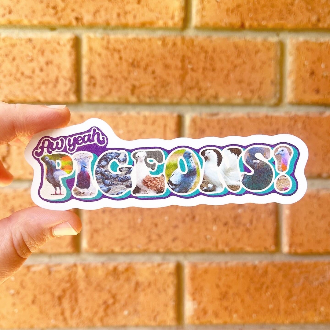 Aw Yeah Pigeons Vinyl Sticker Funny Bird Birds Pigeon Purple Green ...