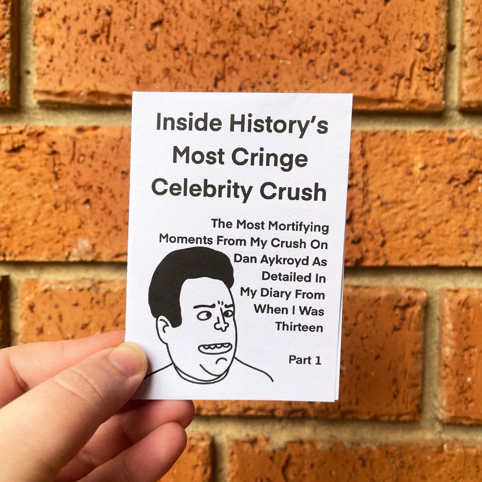 Dan Aykroyd Cringe Teen Crush Zine Duo Bundle Funny Awkward - Etsy UK