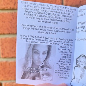 Mouth Wrinkles Zine Funny Hot Take Feminism Satire Beauty Products ...