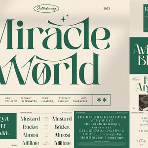 Modern Font Bundle 3: SVG & PNG for Canva, Cricut, Procreate. Stand Out ...