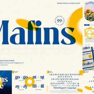 Modern Font Bundle 3: SVG & PNG for Canva, Cricut, Procreate. Stand Out ...