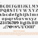 Begirdle-serif Display Font Digital Download Canva, Cricut, Procreate ...