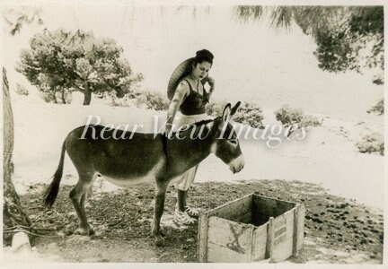 LADY WITH DONKEY Vintage Photograph Digital Download - Etsy
