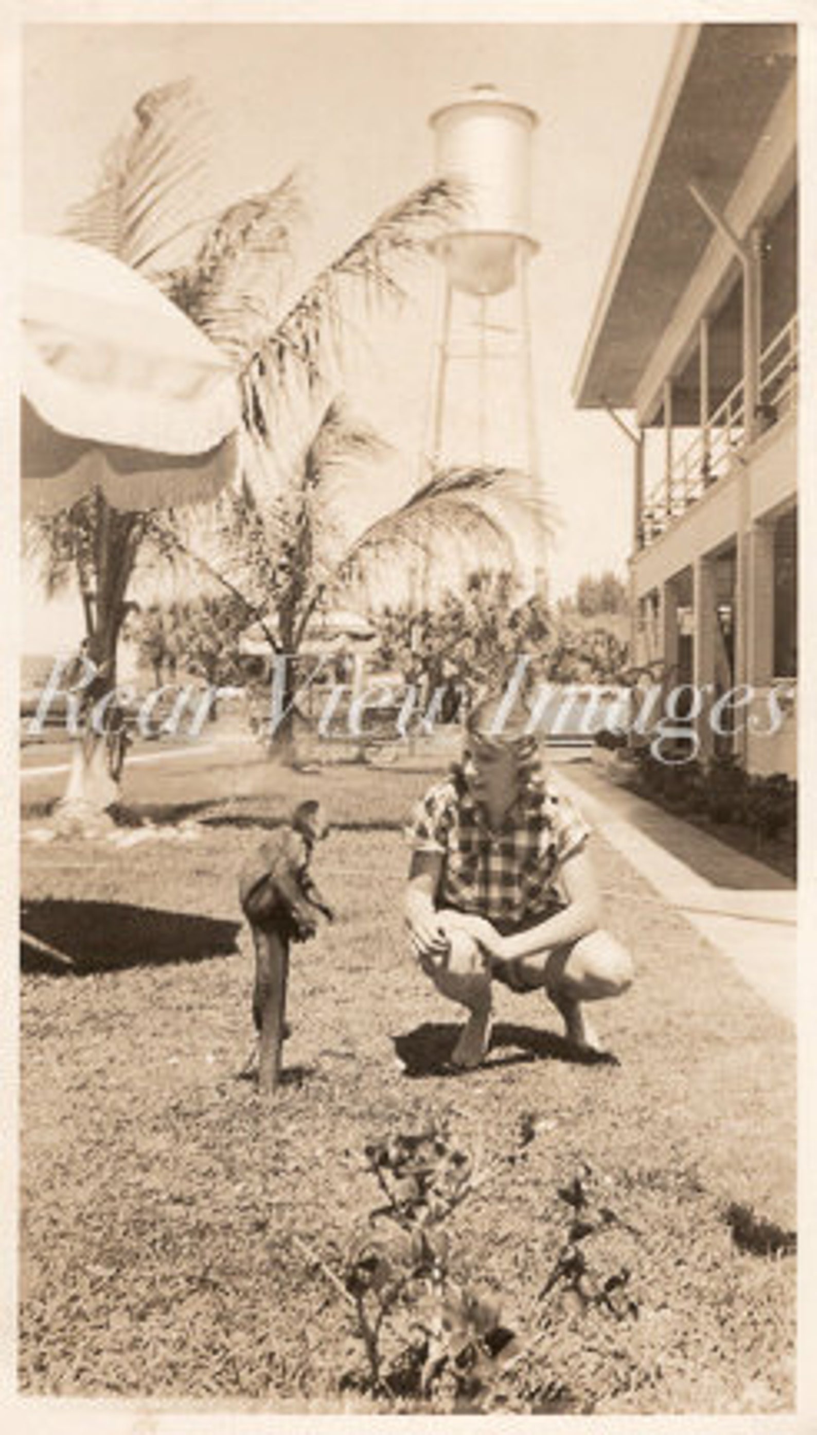 MONKEY TALK Vintage Photo Digital Download - Florida in the Early 1950 ...