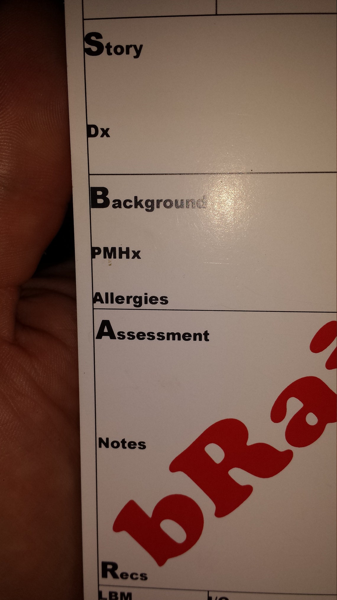 Brainiac Nurse Brain Sheet Notebook Patient Data Book | Etsy Canada