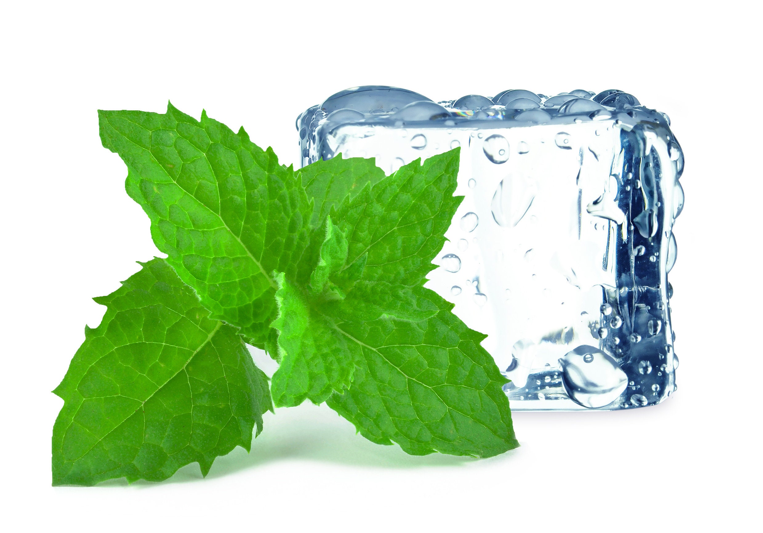 Menthol Crystals Premium 100% Pure USP Grade - Etsy