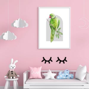 Parrot Illustration Printable, Green Parrot, Parakeet, Cateau Vert ...