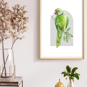 Parrot Illustration Printable, Green Parrot, Parakeet, Cateau Vert ...