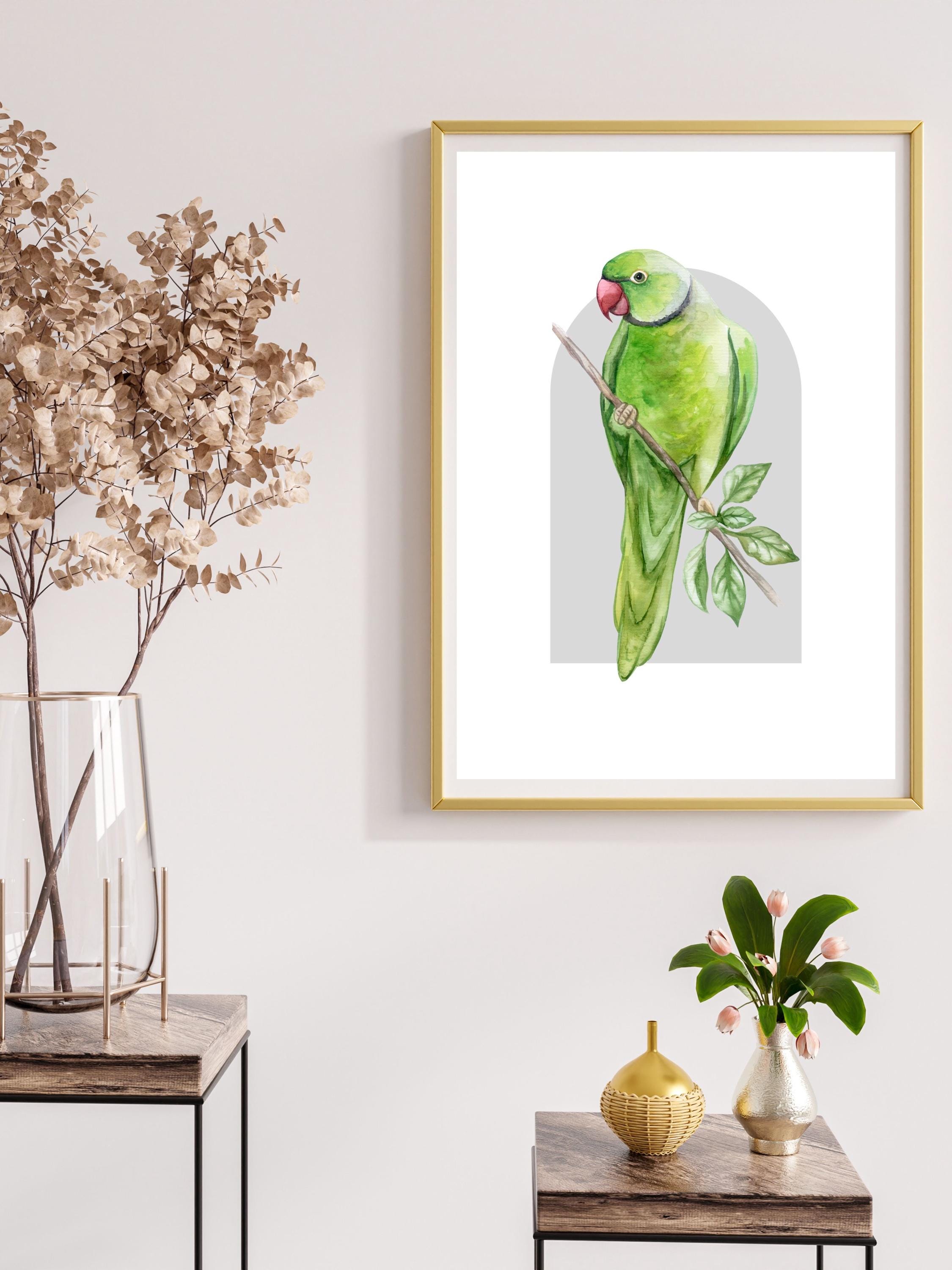 Parrot Illustration Printable, Green Parrot, Parakeet, Cateau Vert ...