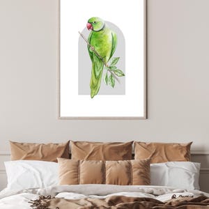 Parrot Illustration Printable, Green Parrot, Parakeet, Cateau Vert ...