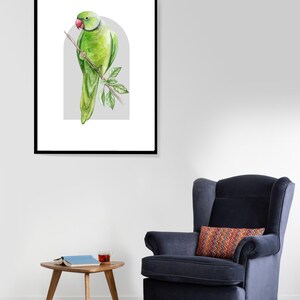 Parrot Illustration Printable, Green Parrot, Parakeet, Cateau Vert ...