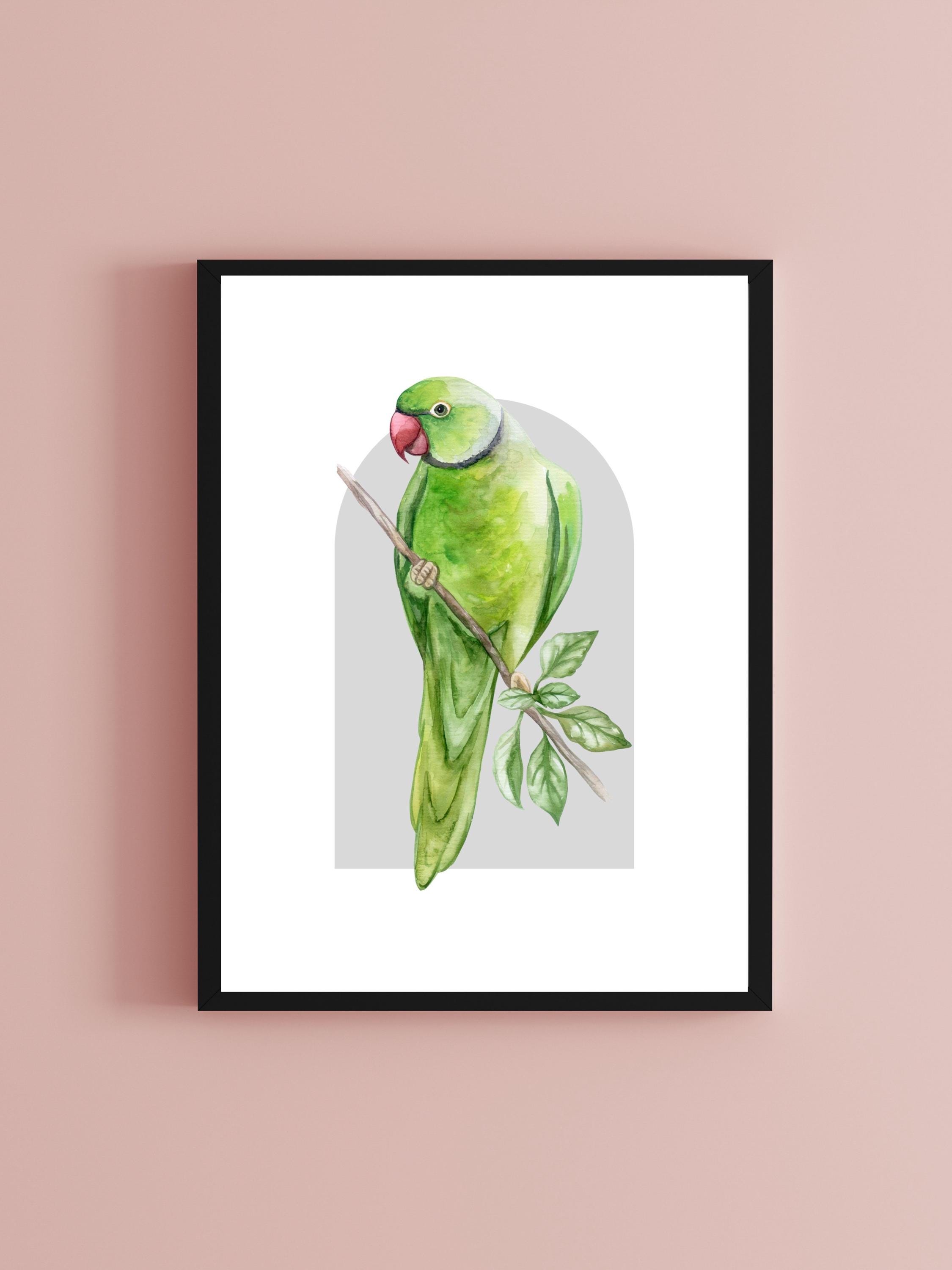 Parrot Illustration Printable, Green Parrot, Parakeet, Cateau Vert ...
