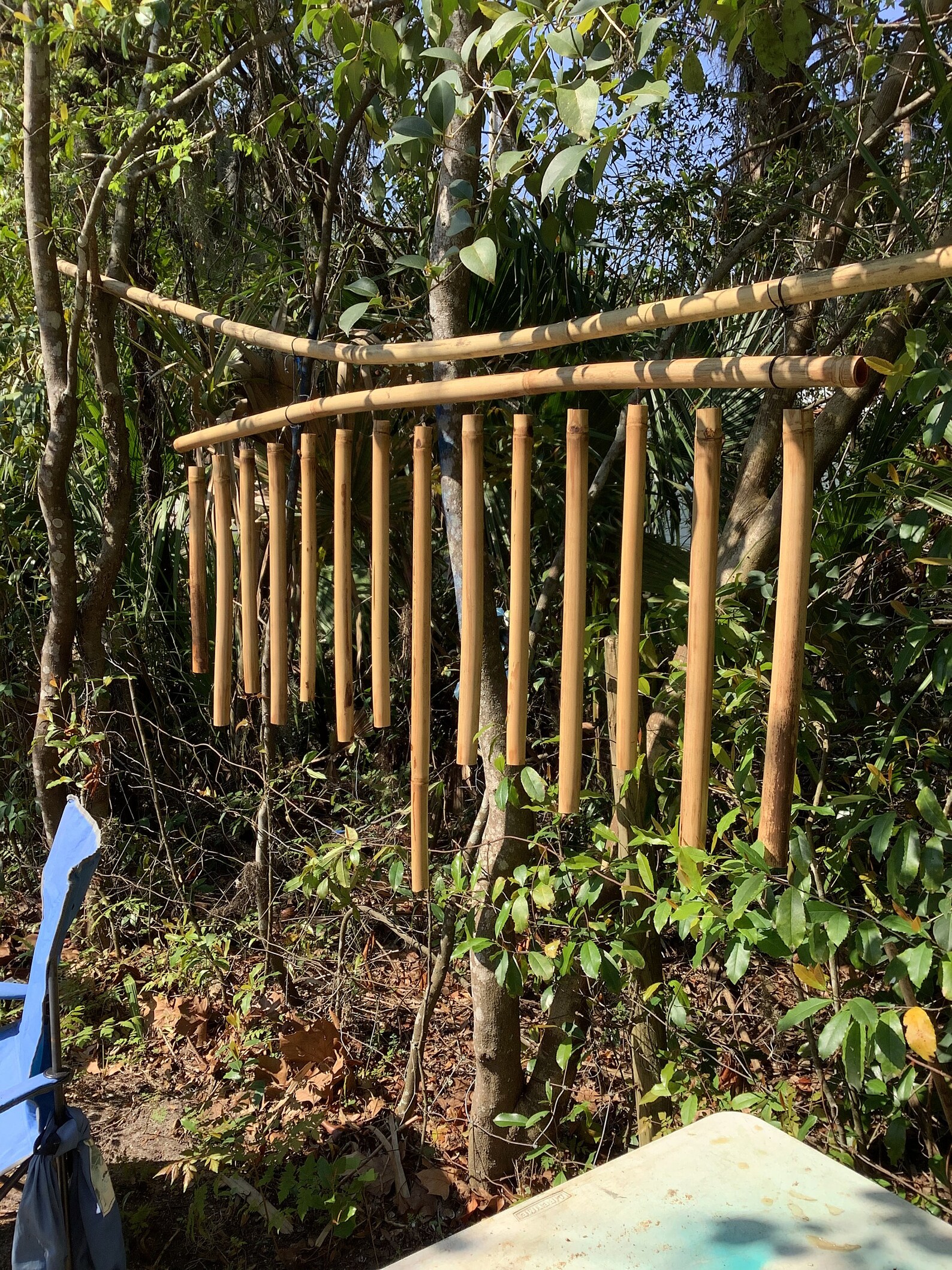 Wind Chimes Made From Florida Bamboo and the Shell is From the Gulf of ...