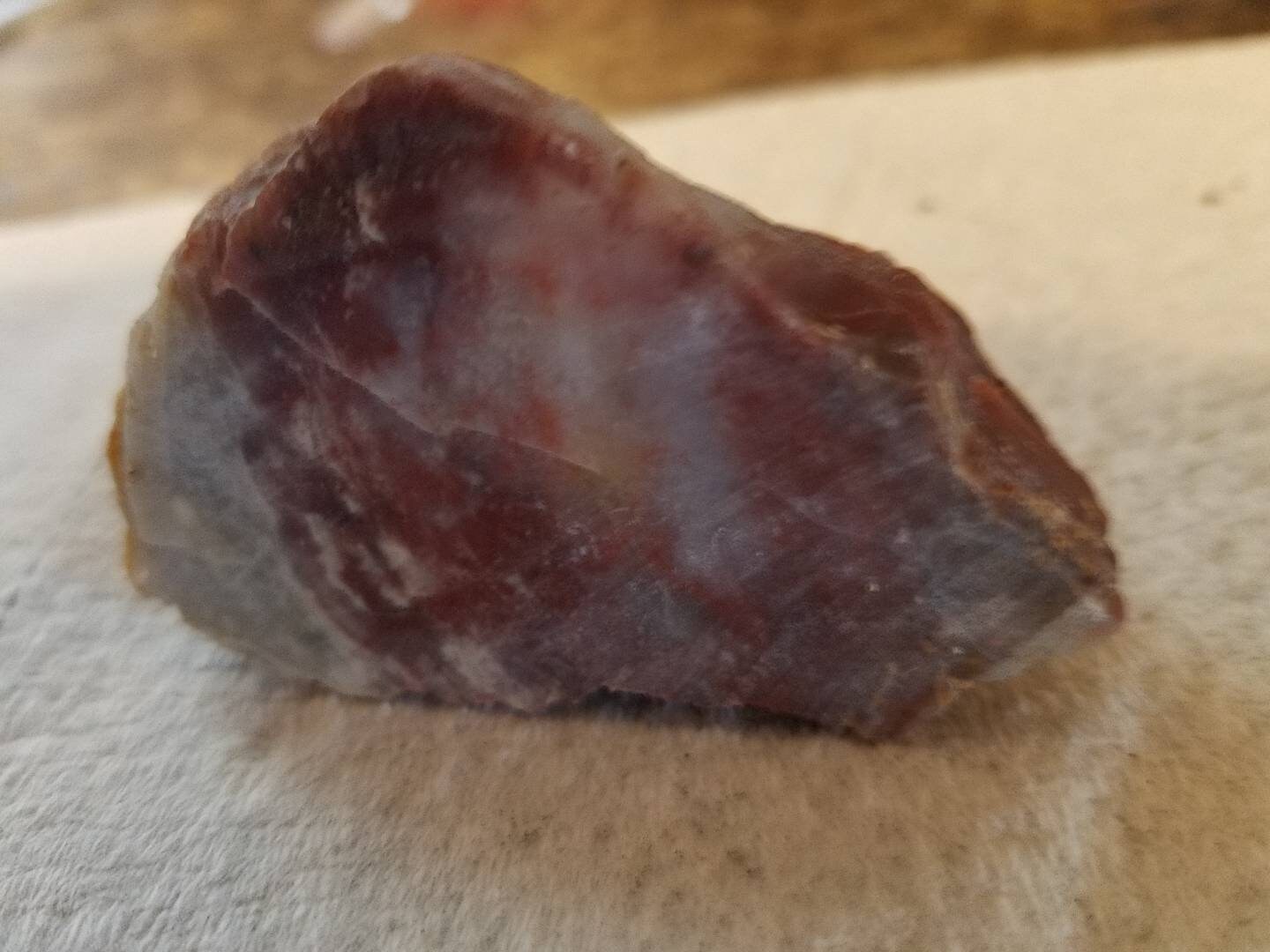 Coprolite Stone - Etsy