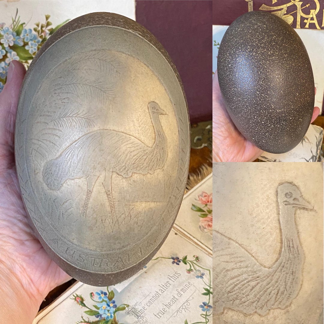 Fantastic Unusual Antique Victorian Australian Carved Emu Cameo Egg ...