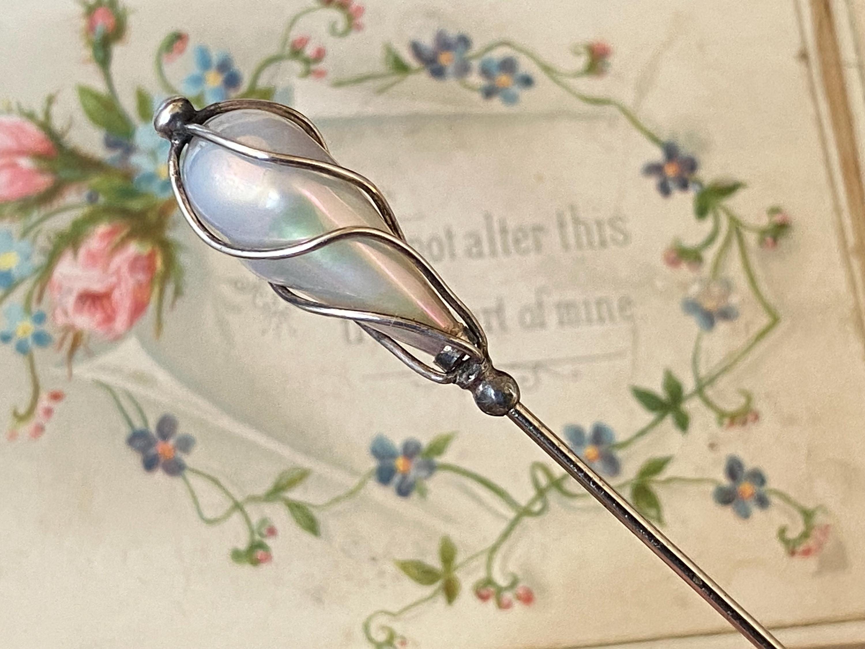 Fabulous Victorian /edwardian Sterling Silver Cage With Steel Pin and ...