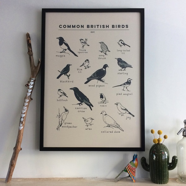British Birds Poster - Etsy UK