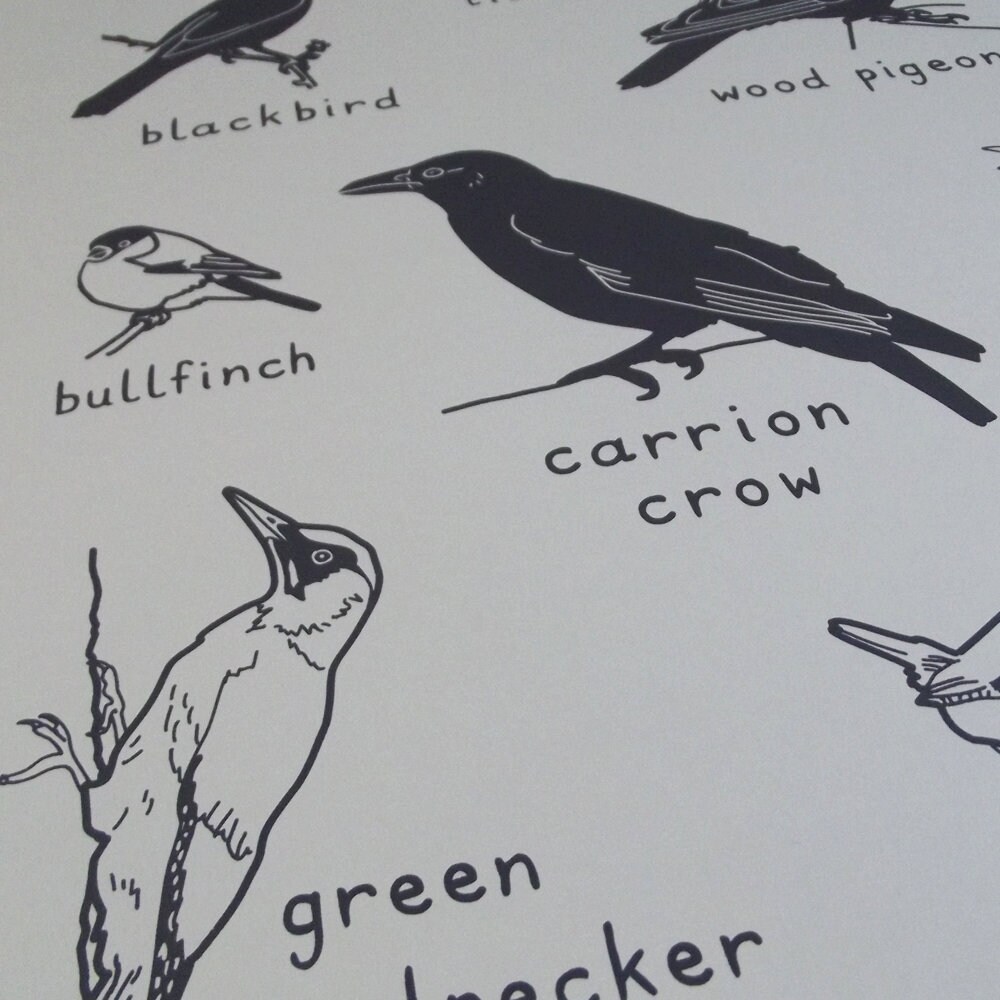 Common British Birds Poster - Etsy