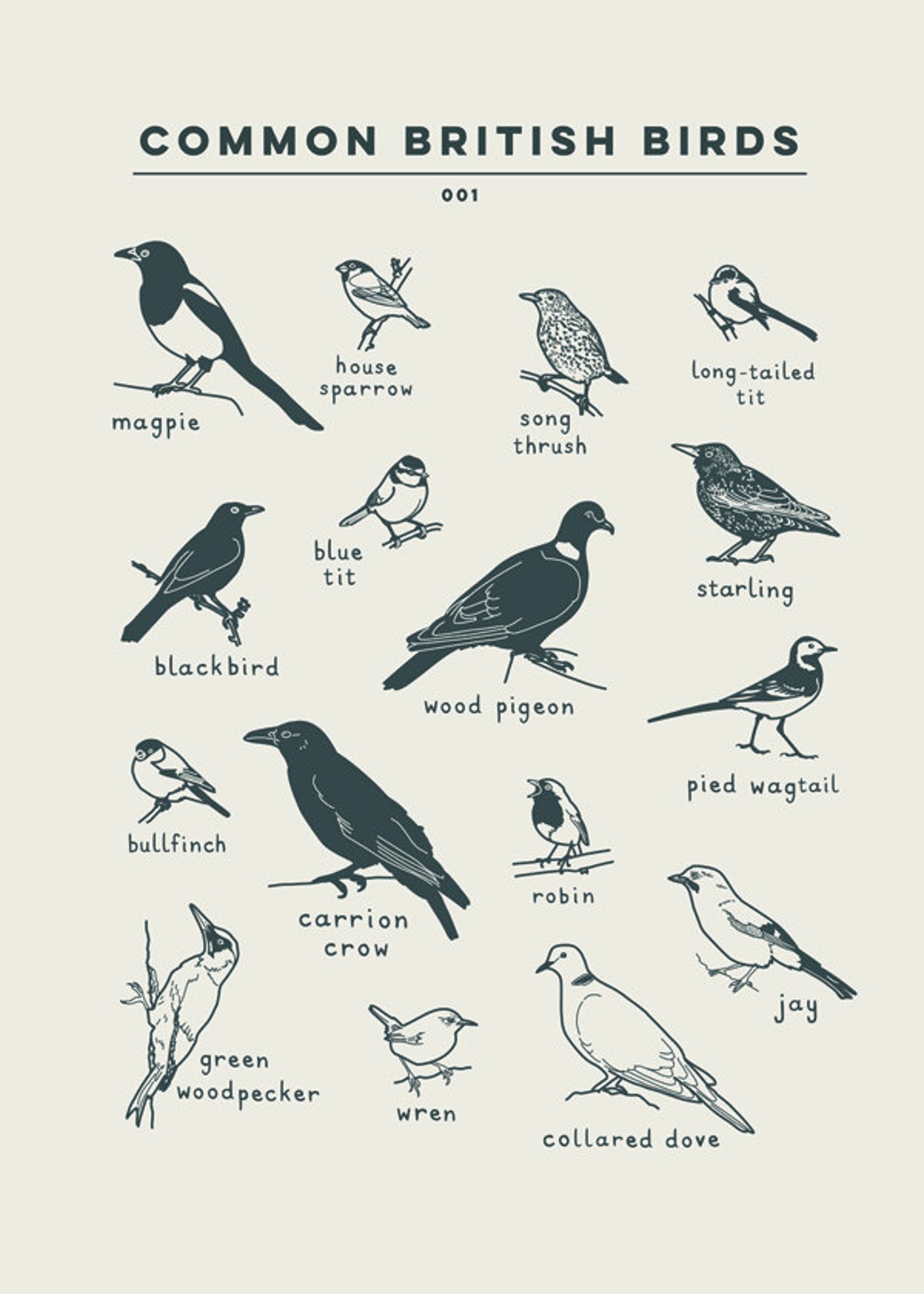 Common British Birds Poster - Etsy